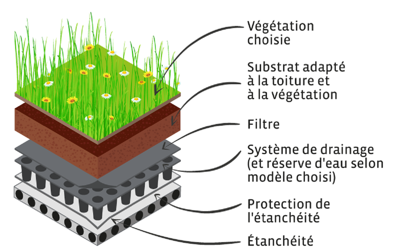 Qu'est ce que la toiture végétalisée? Votre paysagiste à Lyon en Rhône ...